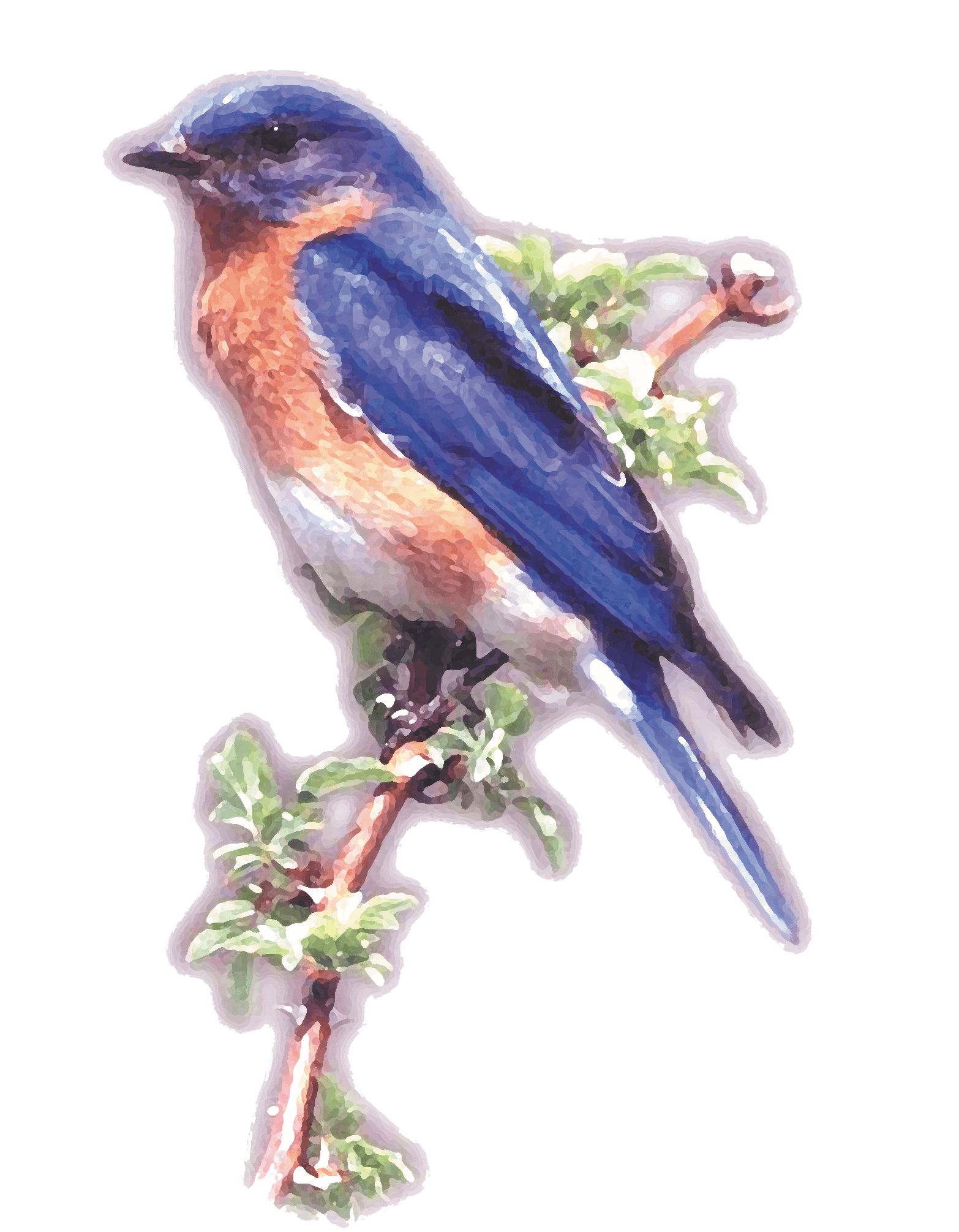 Access Control Bluebird Security Access Control Bluebird Security
